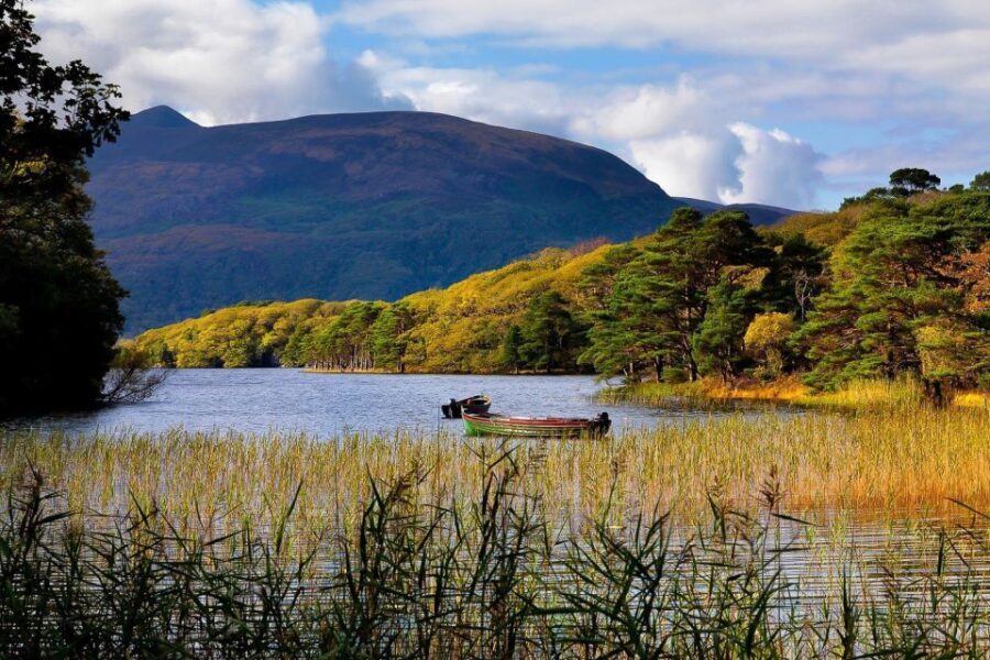 From Killarney: Ring of Kerry Full-Day Tour - Who Should Take This Tour?