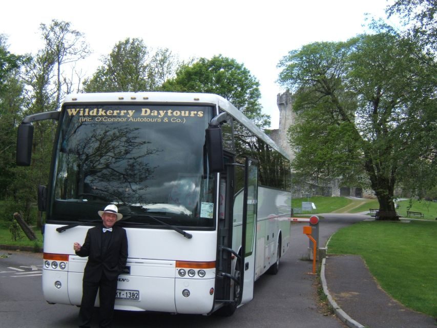 From Killarney: 'Ring of Kerry' Mountain Road 1-Day Bus Tour - The Experience: What Makes It Stand Out