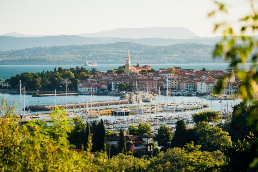 From Koper: Slovenian Riviera Bus Tour with Food Tastings - Transportation and Practicalities