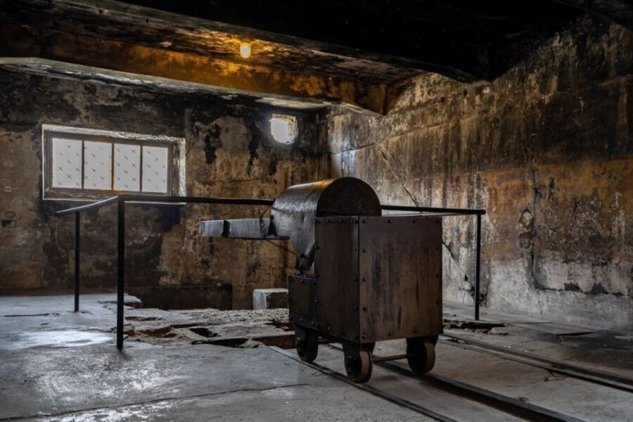 From Krakow: Auschwitz-Birkenau Full-Day Tour - The Itinerary in Detail