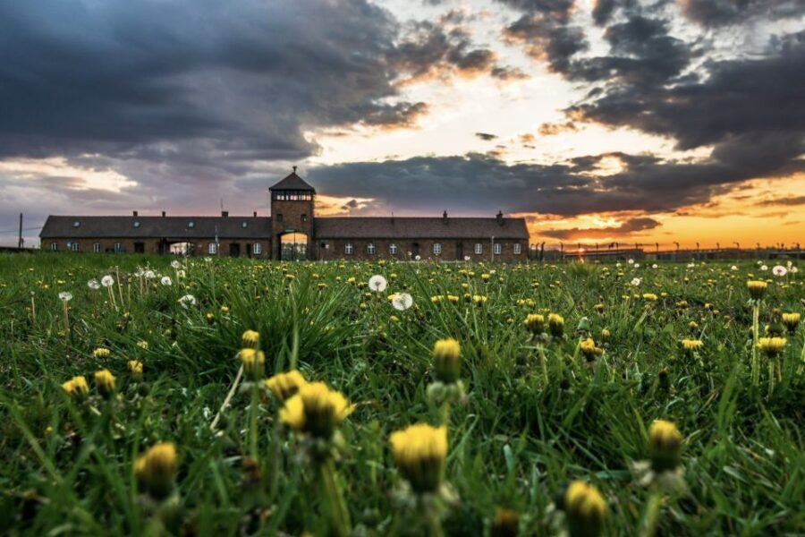 From Krakow: Auschwitz-Birkenau Guided Tour & Pickup - Who Should Consider This Tour?