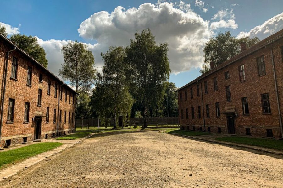 From Krakow: Auschwitz-Birkenau Memorial and Museum Tour - The Itinerary: What Youll Experience