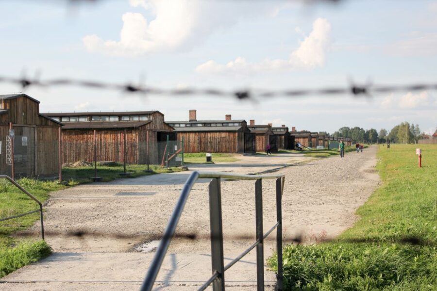 From Kraków: Auschwitz-Birkenau Memorial Guided Tour - What to Expect at Auschwitz-Birkenau