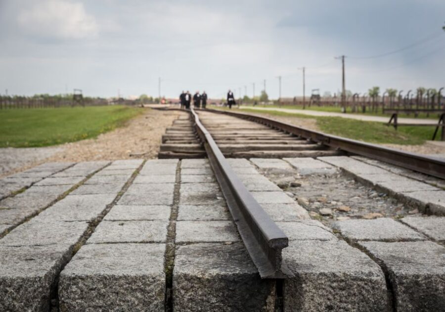 From Krakow: Auschwitz Birkenau Tour with Transfer - The Value for Money