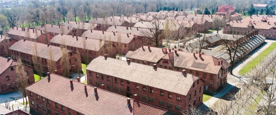 From Krakow: Auschwitz-Birkenau Tour with Transportation - Authentic Experiences and Honest Reflections