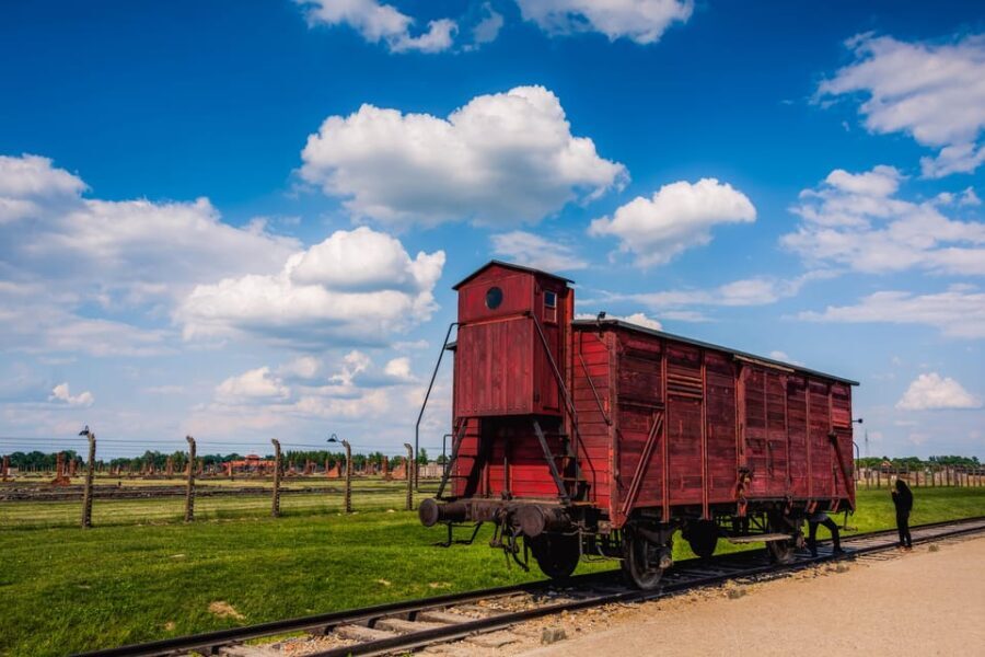 From Krakow: Auschwitz-Birkenau Tour with Transportation - The Sum Up