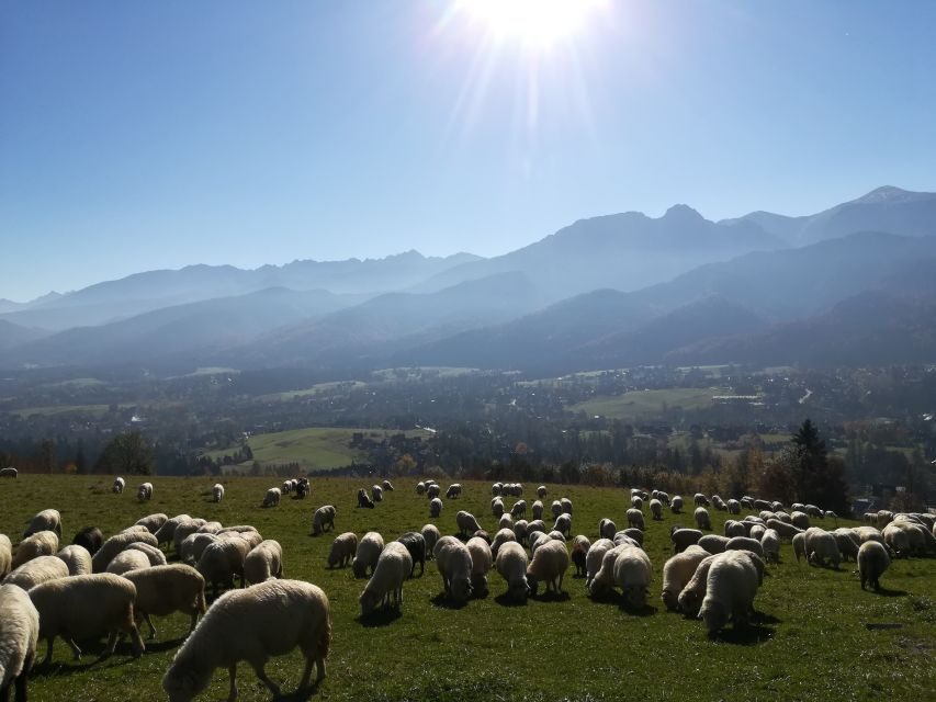 From Krakow: Dunajec River Rafting and Zakopane Town Tour - Transfer and Scenic Stop at Gubaówka