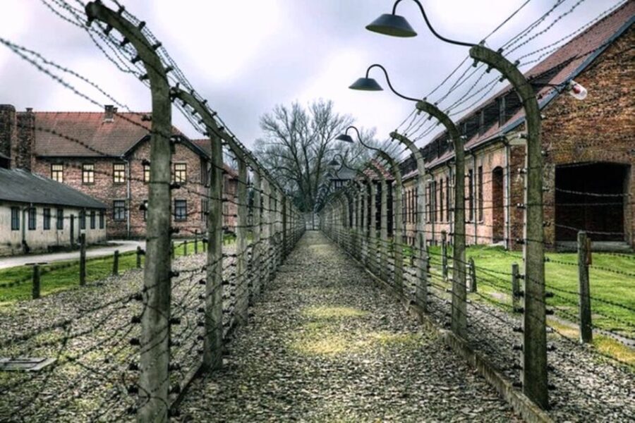 From Krakow: Guided Auschwitz-Birkenau Group Tour by Minivan - Inside Auschwitz: The Guided Journey