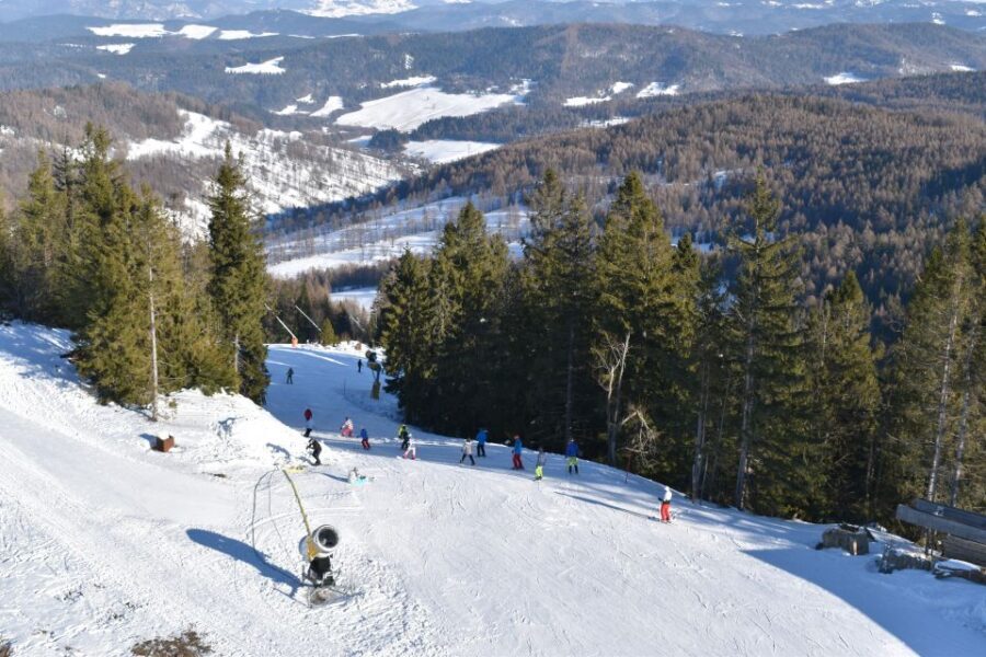 From Kraków: Slovakia Treetop Walk & 4-Hour Ski Pass - Who Is This Tour Best For?