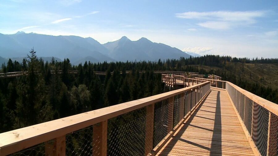 From Kraków: Slovakia Treetop Walk and Thermal Baths - The Practical Side