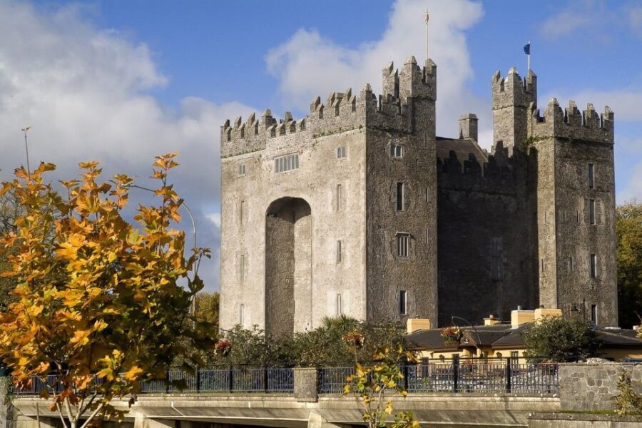 From Limerick: Full-Day Guided Tour of Cliffs of Moher - Transportation and Comfort