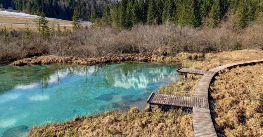From Ljubljana: Triglav National Park Tour - Transportation and Group Size