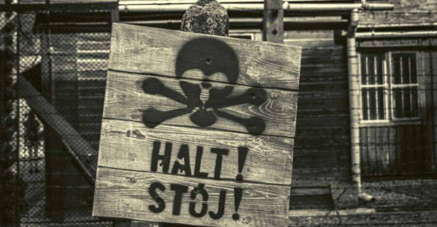 From Lodz: Auschwitz-Birkenau Small-Group Tour with Lunch - Analyzing the Value: Is It Worth It?
