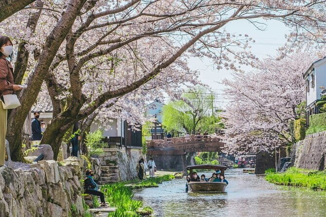 From Nagoya: Castles and Canals in Hikone and Omi Hachiman - Practical Details and Value