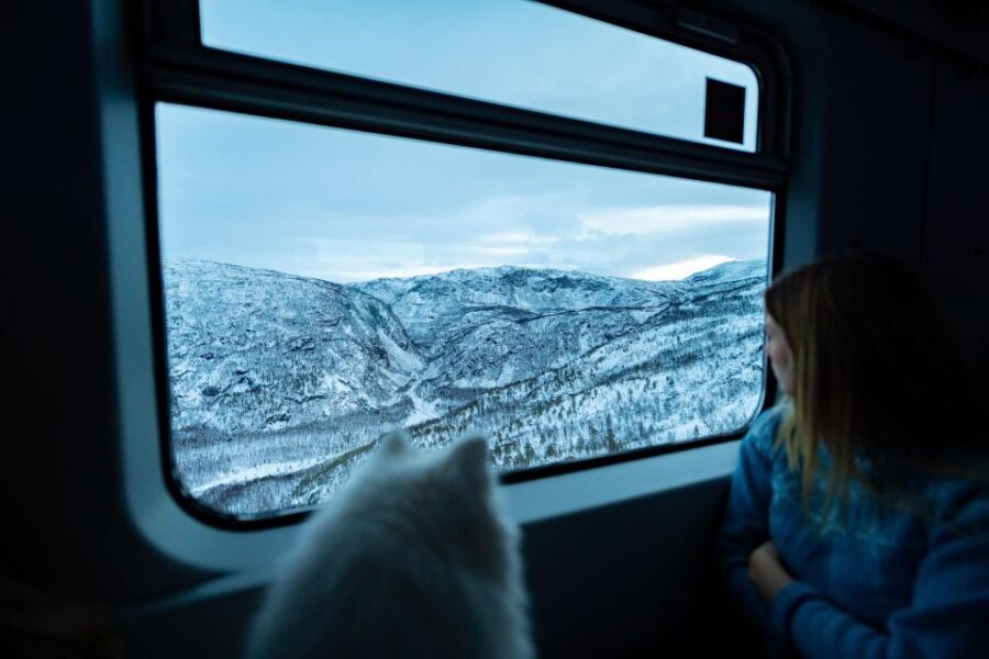 From Narvik: Round-Trip Arctic Train Ride on Ofoten Railway - What Travelers Love