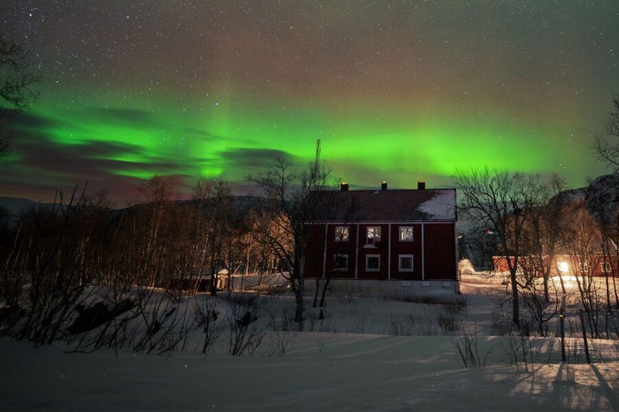 From Narvik: The Northern Lights Arctic Train Guided Tour - The Itinerary: What to Expect on Your Arctic Journey