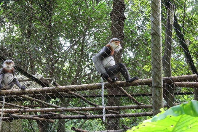 From Ninh Binh to Cuc Phuong National Park, Trekking and Jungle - Why This Tour Offers Good Value
