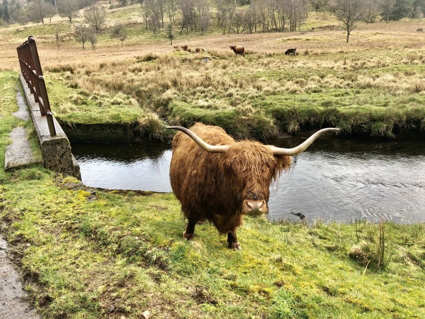 From Oban Glencoe and Castles Tour - The Practical Side: What’s Included and What’s Not