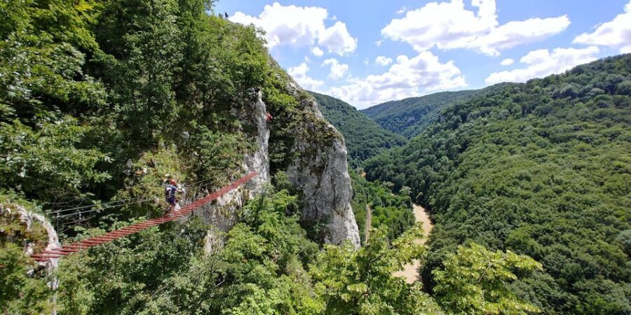 From Oradea: Gorges of Crisul Repede River - Who Should Consider This Tour?