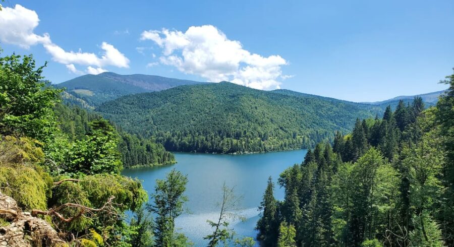 From Oradea: Mountain Bike around Lake Dragan - Detailed Itinerary Breakdown