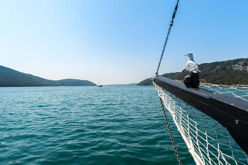 From Pore: Boat Day Trip to Rovinj with Fish Lunch - Analyzing the Value and Experience