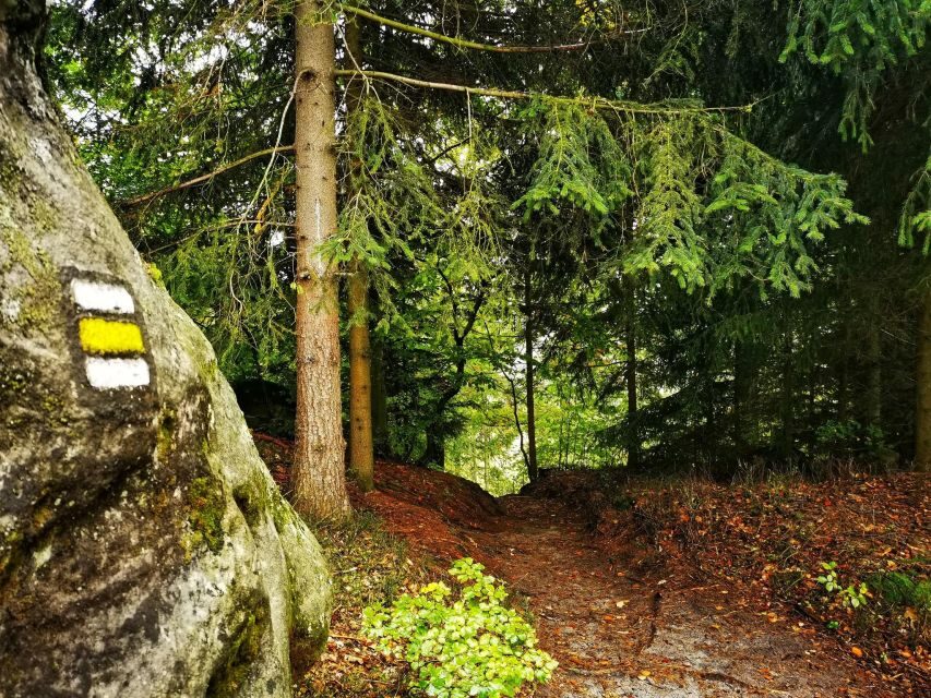 From Prague: Bohemian Paradise - Full-Day Hiking Trip - Authentic Experiences and Practical Tips