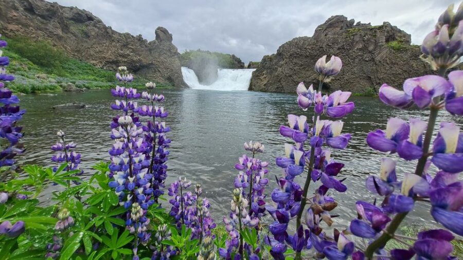From Reykjavik: Highlands Jeep Tour & Landmannalaugar Hike - A Journey Through Iceland’s Heartland