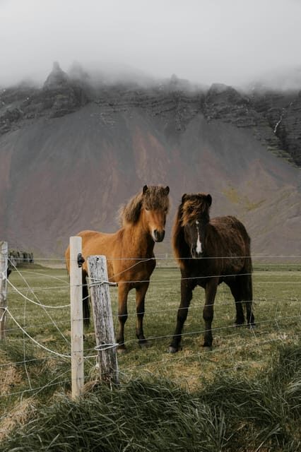 From Reykjavik: Private Golden Circle and South Coast Tour - Frequently Asked Questions