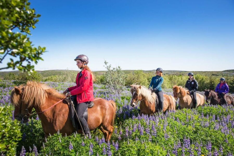 From Reykjavík: Viking Horseback Tour in Hafnarfjörður - What Youll Do During the Tour