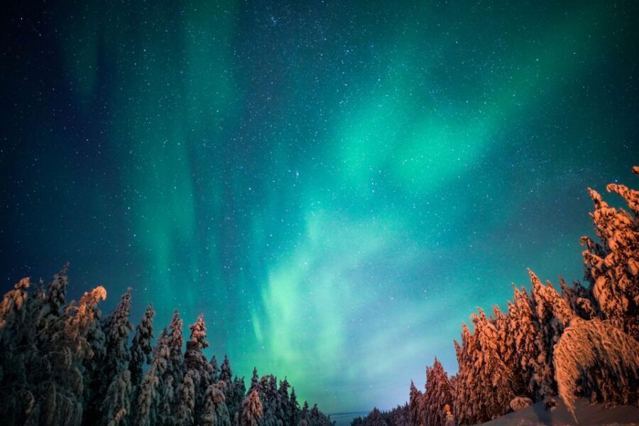 From Rovaniemi: Family-Friendly Northern Lights Tour - The Itinerary Breakdown
