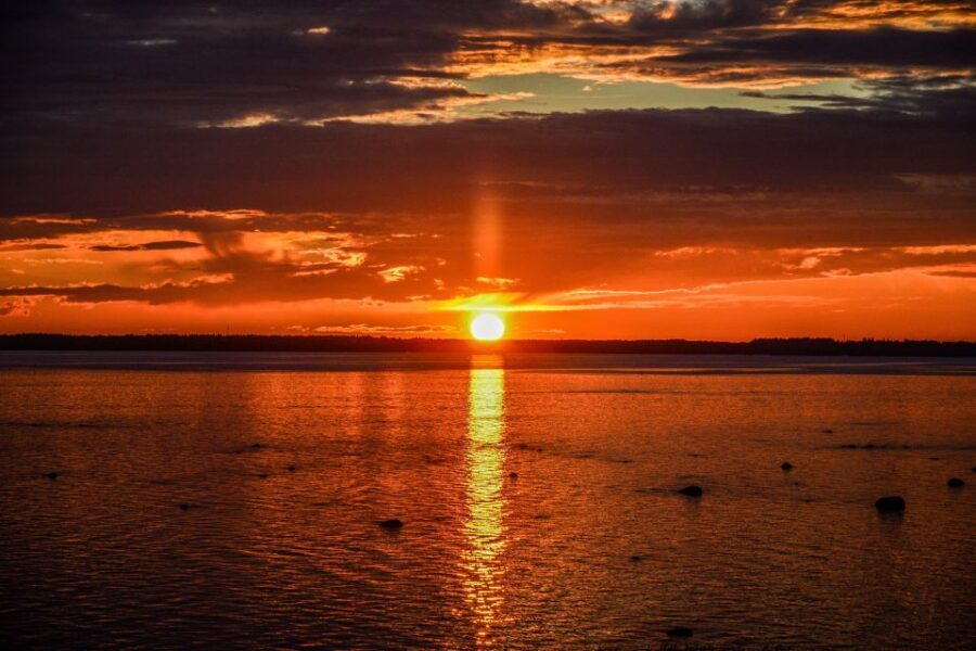 From Rovaniemi: Midnight Sun Forest Lake Float - An In-Depth Look at the Experience