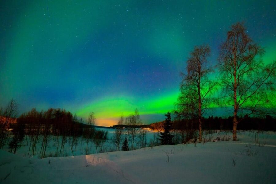 From Rovaniemi: Night Tour in Search of the Aurora with BBQ - The Bottom Line