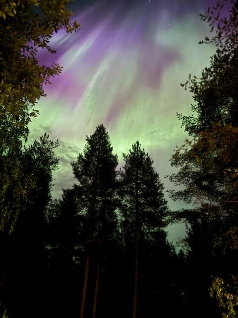 From Rovaniemi: Northern Lights Tour with Campfire Snacks - Setting the Scene: What to Expect on the Tour