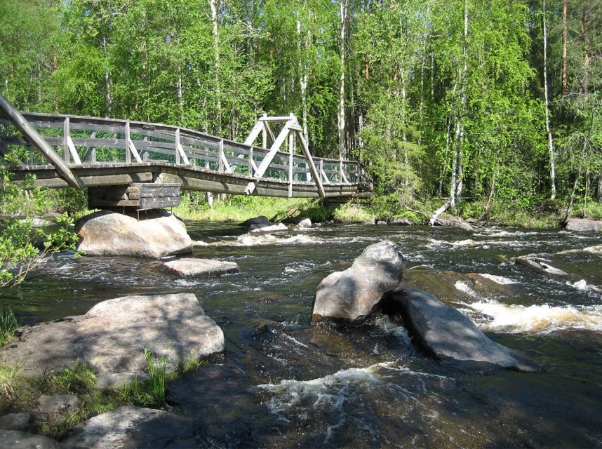 From Rovaniemi: Vikaköngäs Forest Hiking Tour - Summary and Who Should Book This Tour