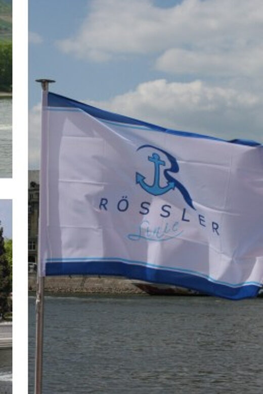 From Rüdesheim: 1.5-Hour Boat Cruise with Wine Tasting - The Flipside: Considerations and Limitations