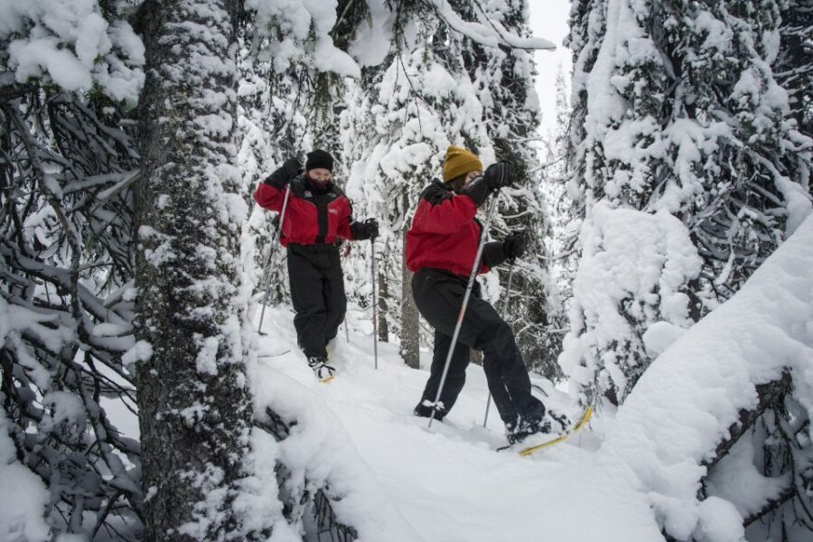 From Ruka: Snowshoeing in Oulanka National Park - Why This Tour Is Worth It