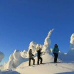 From Ruka: Snowshoeing in Riisitunturi National park - Authentic Experiences Drawn from Reviewers