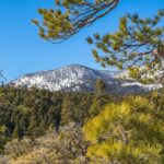 From San Diego: Two-Day Camping and Hiking Adventure in Idyllwild - The Itinerary in Detail