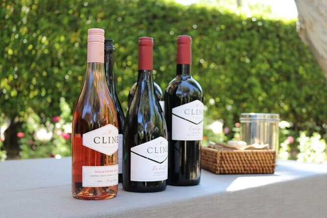 From San Francisco: Half-Day Wine Aficionado Tour with Tastings - Who Should Consider This Tour?