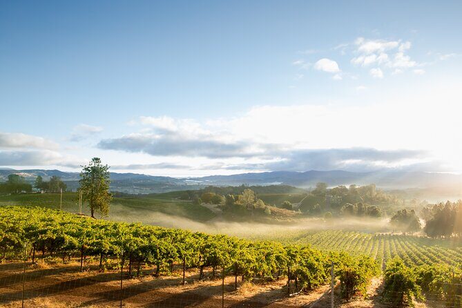 From San Francisco: Napa & Sonoma Valley Wine Tour with Tastings - Who Will Love This Tour?