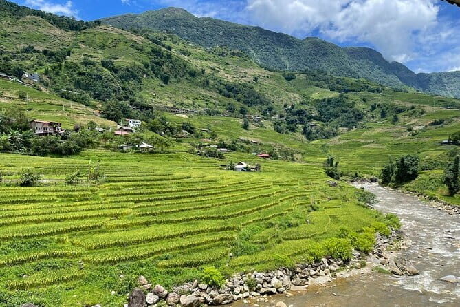 From Sapa: Half-day Guided Trek to Lao Chai & Ta Van with Lunch - Why This Tour Offers Good Value
