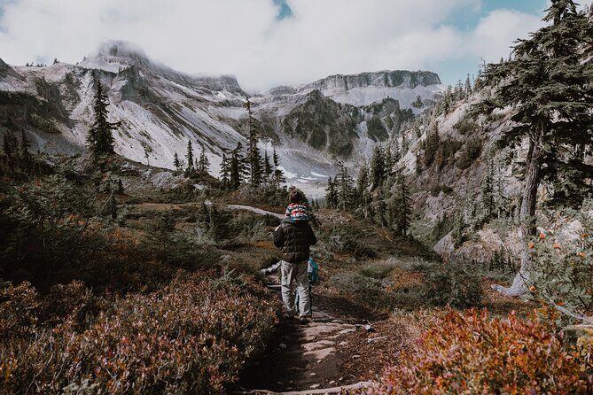 From Seattle - Enchanting Mt Baker and Cascades Tour in SUV - Who Is This Tour Best For?