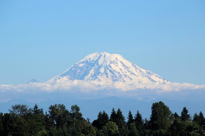 From Seattle:Hiking in Mount Rainier Private Tour - Who Would Love This Tour?