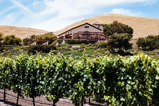 From SF : -8hr- Private Wine Tour & Custom Concierge.XL SUV - The Sum Up