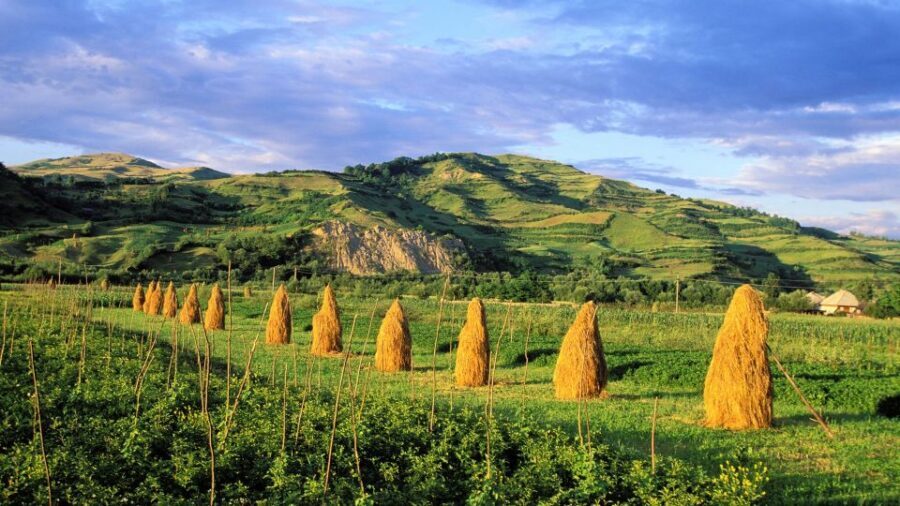 From Sighetu Marmatiei: Maramures and Barsana Monastery Tour - Transport, Group Size & Price