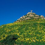From Sliema or Bugibba: Gozo Heritage Day Pass - What You Can Expect from Each Part of the Tour