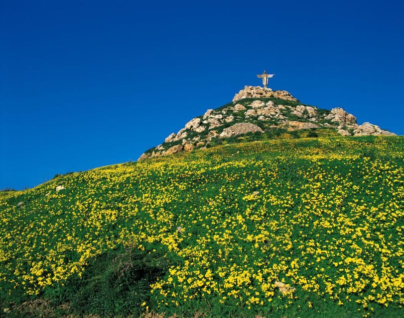 From Sliema or Bugibba: Gozo Heritage Day Pass - What You Can Expect from Each Part of the Tour