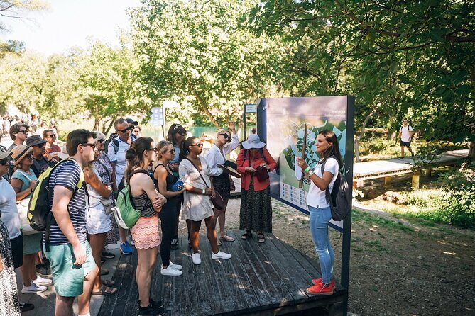 From Split: Krka Waterfalls, Food & Wine Tasting Tour - Who This Tour Is Best For