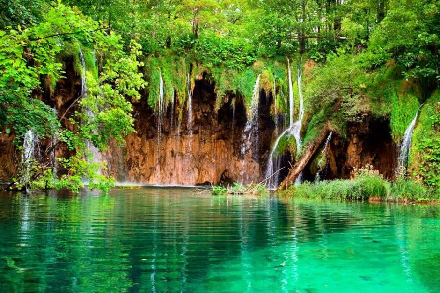 From Split: Magical Plitvice Lakes and Hidden Deer Ranch - What to Expect During the Day