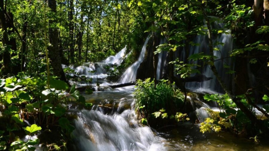 From Split or Trogir: Plitvice Lakes Trip with Entry Ticket - What’s Included and What’s Not